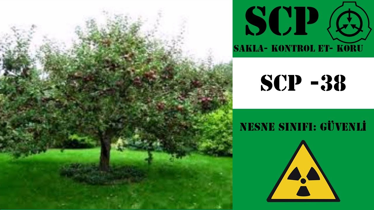 SCP 38 (Her Şey Ağacı ) - YouTube