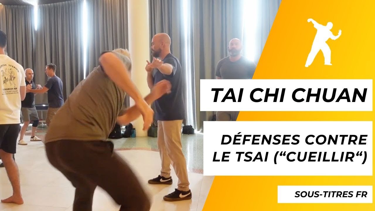 Défenses contre Tsai (énergie de “Cueillir“) - Tai Chi - Adam Mizner FR - YouTube