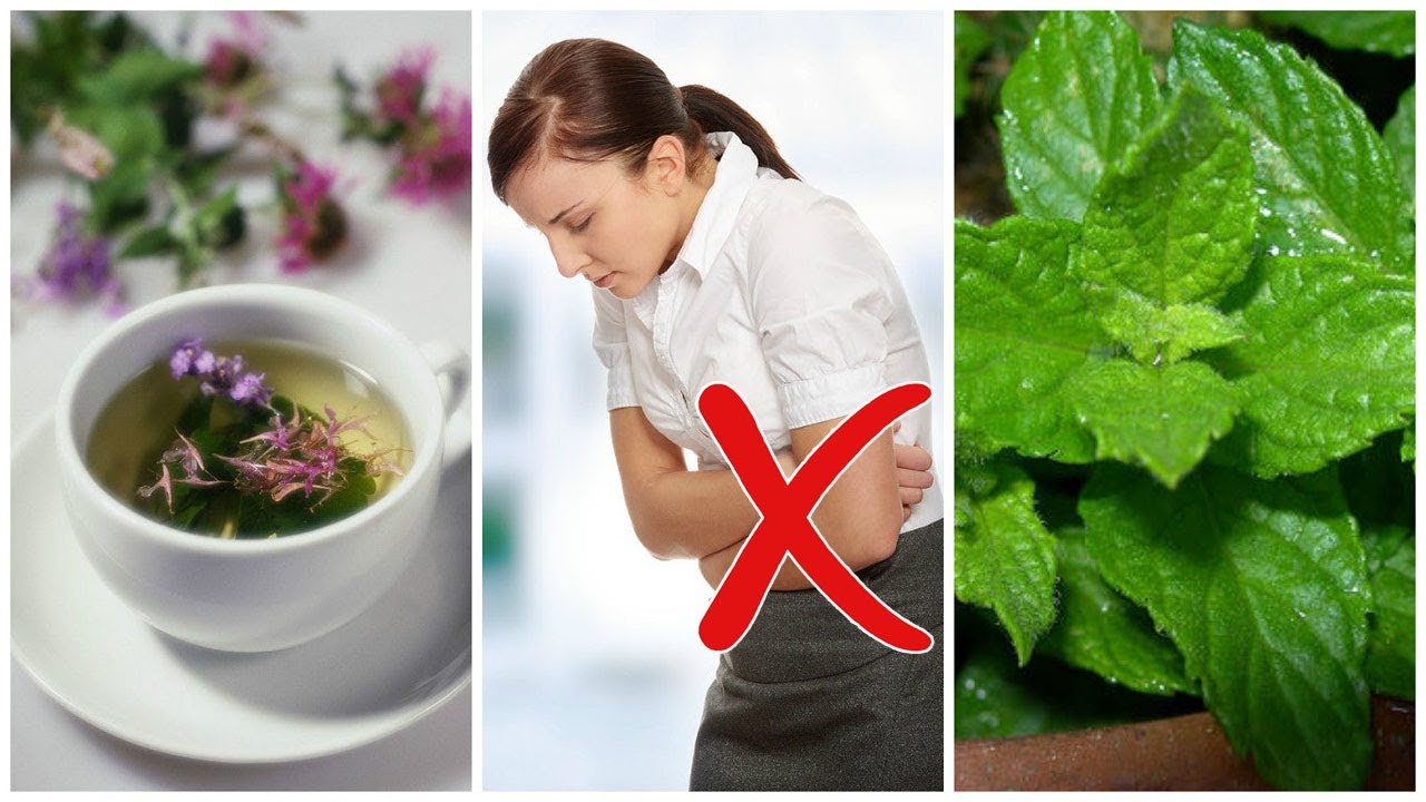 5 hierba curativa para problemas digestivos hasta dolor de muelas - YouTube