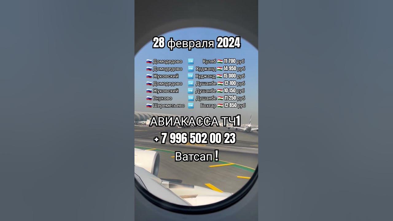 Нархи билет 28 февраля #aviakassa_tj1 #shorts #tj #авиакасса_билет # ...
