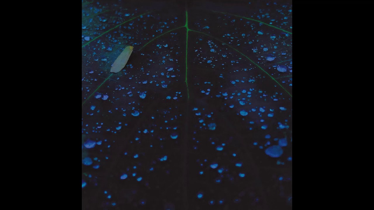 mu tate - All 3 (Experiences Ltd., 2021) - YouTube