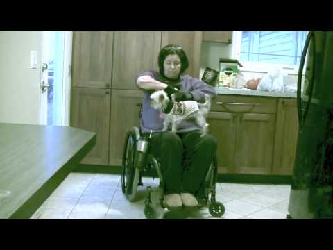 assist verb 115 - YouTube