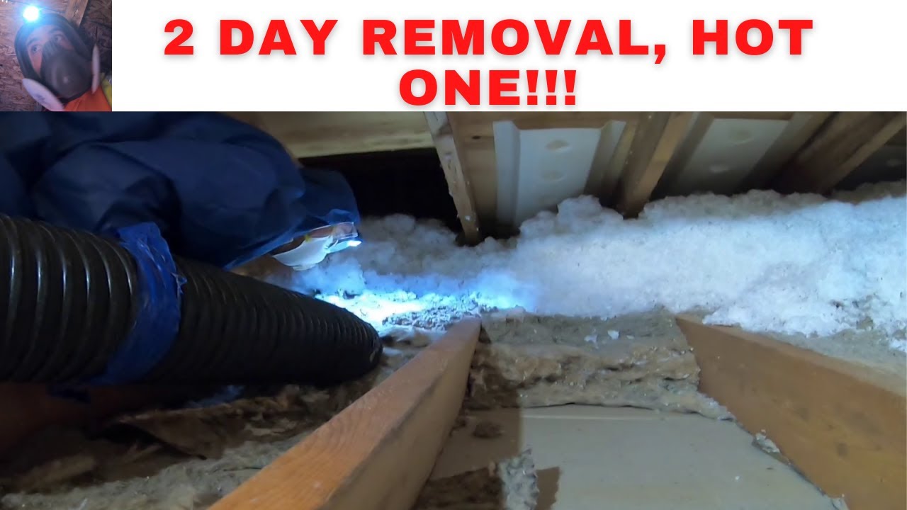 Home renovation: remove insulation in attic with HVAC unit! - YouTube
