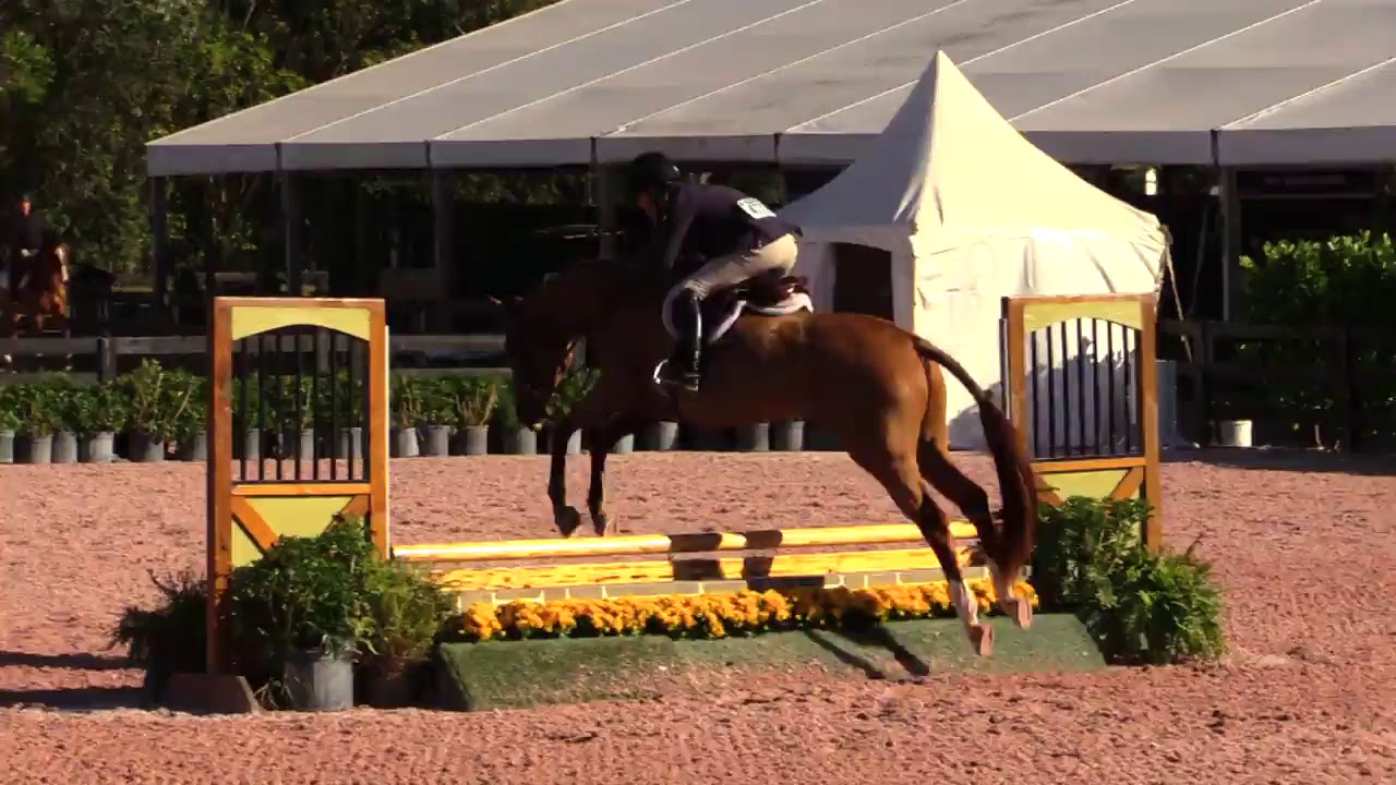 E530288343C3904294BF446192E2D2D7-PETER_PLETCHER-JUST_SO-4772-RECORDER13 ...