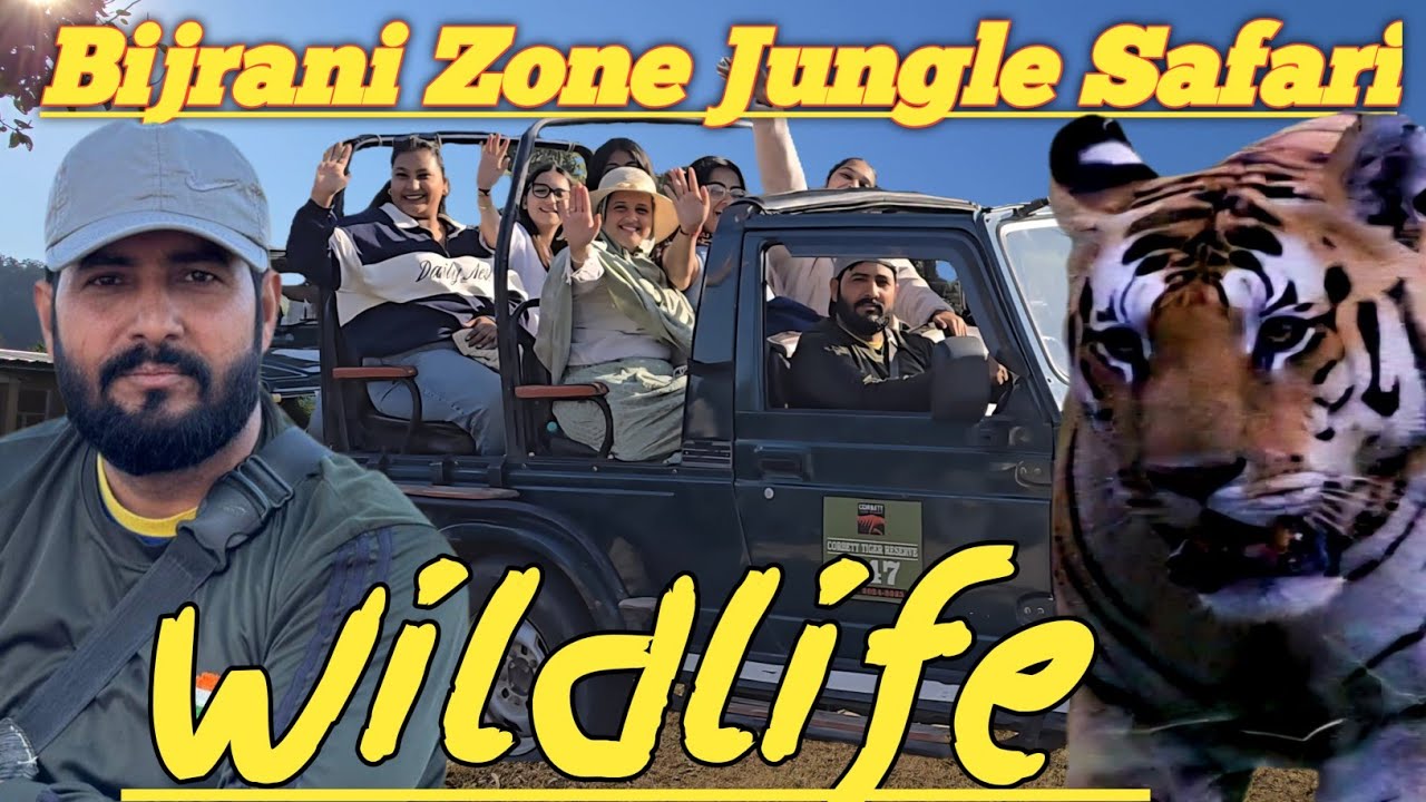 Bijrani Zone Jungle Safari ! Jim Corbett National Park #wildlife # ...