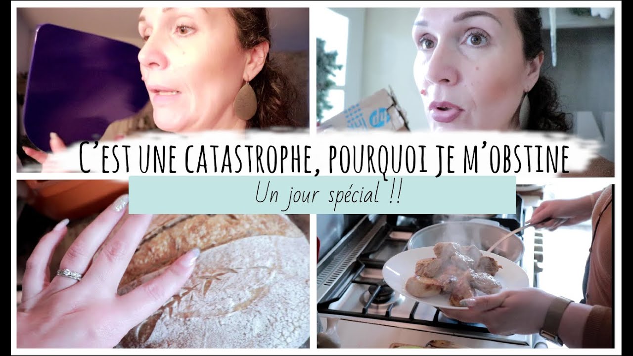 vlog du 5 janvier : C’est une catastrophe, pourquoi je m’obstine, un ...