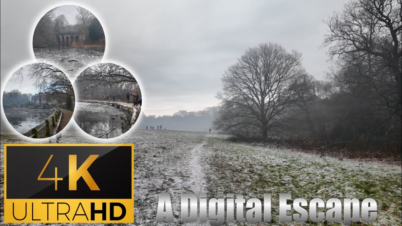 Hampstead Heath Park, London / Freezing Temperature #frozen #coldweather #winter / A digital ...