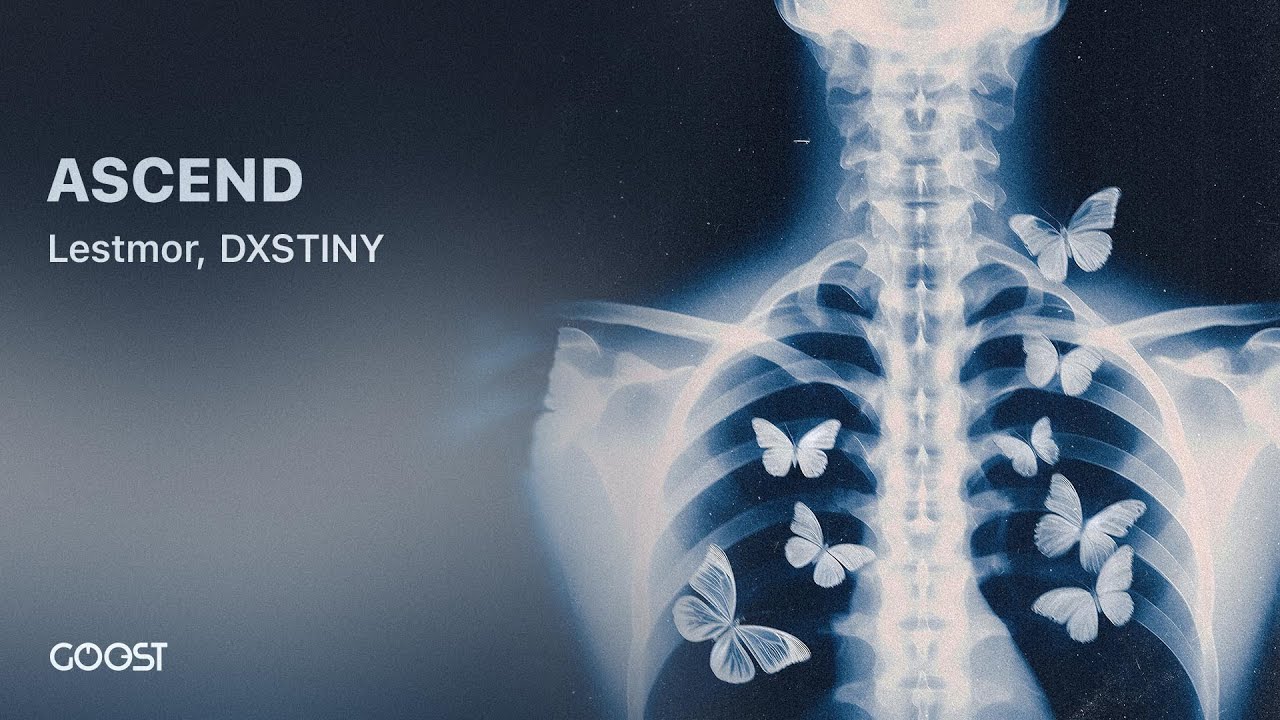 Lestmor, DXSTINY - ASCEND (Official Audio) - YouTube