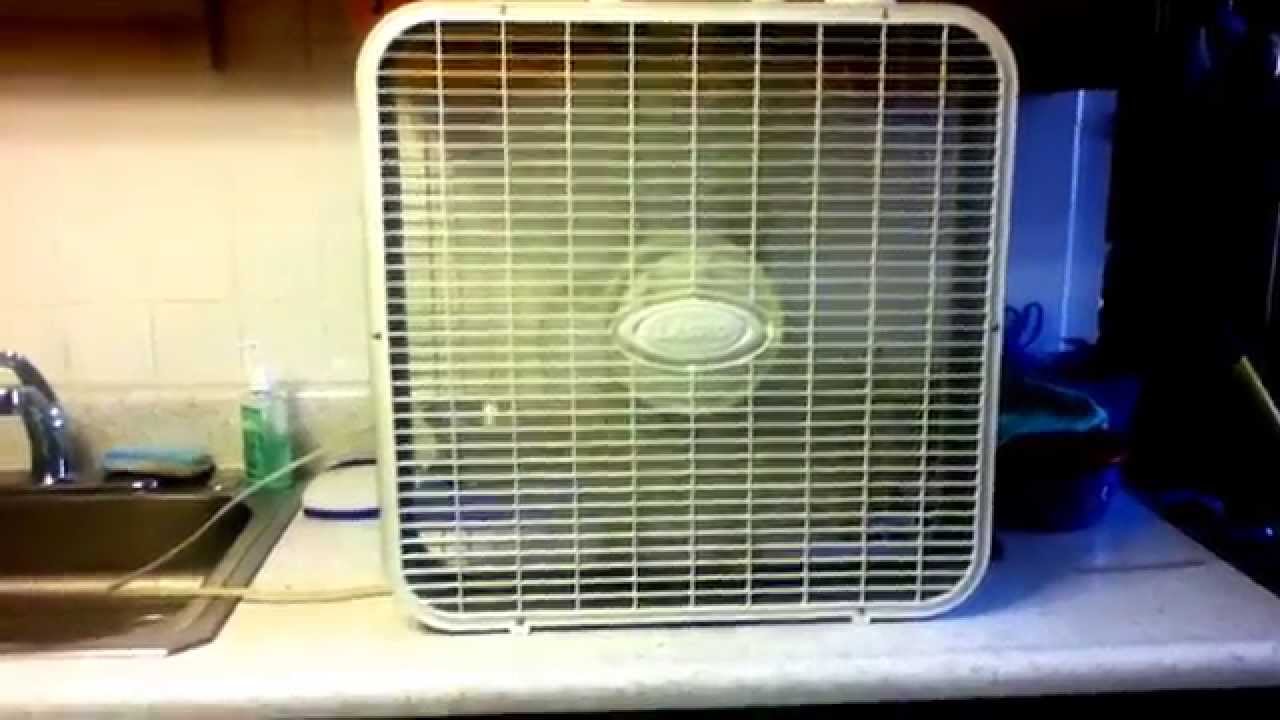 1999-2000 Lasko 20" Box Fan Model 3733 - YouTube