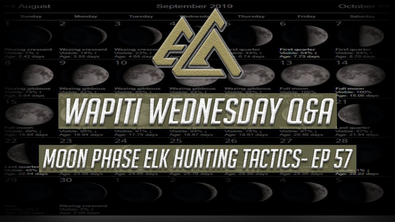 Moon Phases, Elk Activity & How to Hunt Them - WWQA - Ep 57 - YouTube