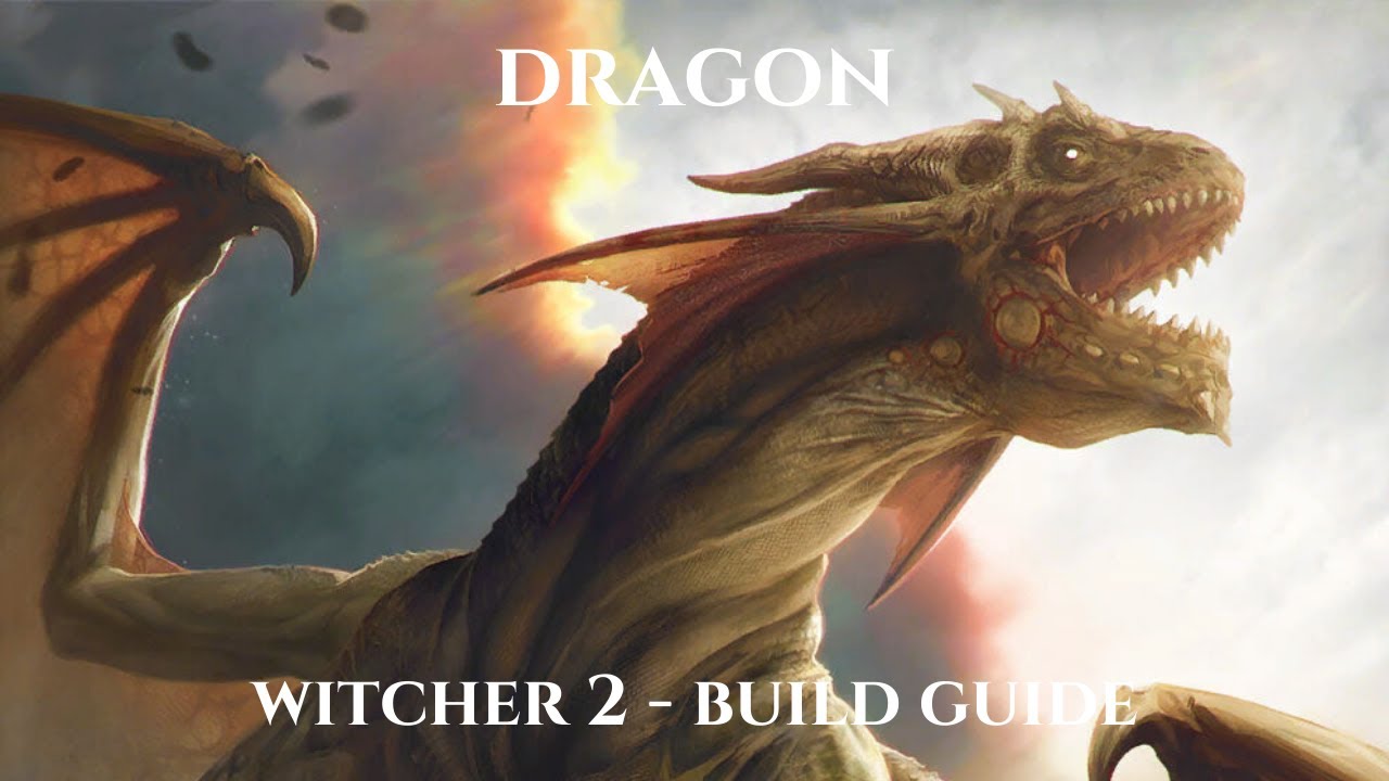 Witcher 2 Dark Mode Build Guide - The Dragon - YouTube