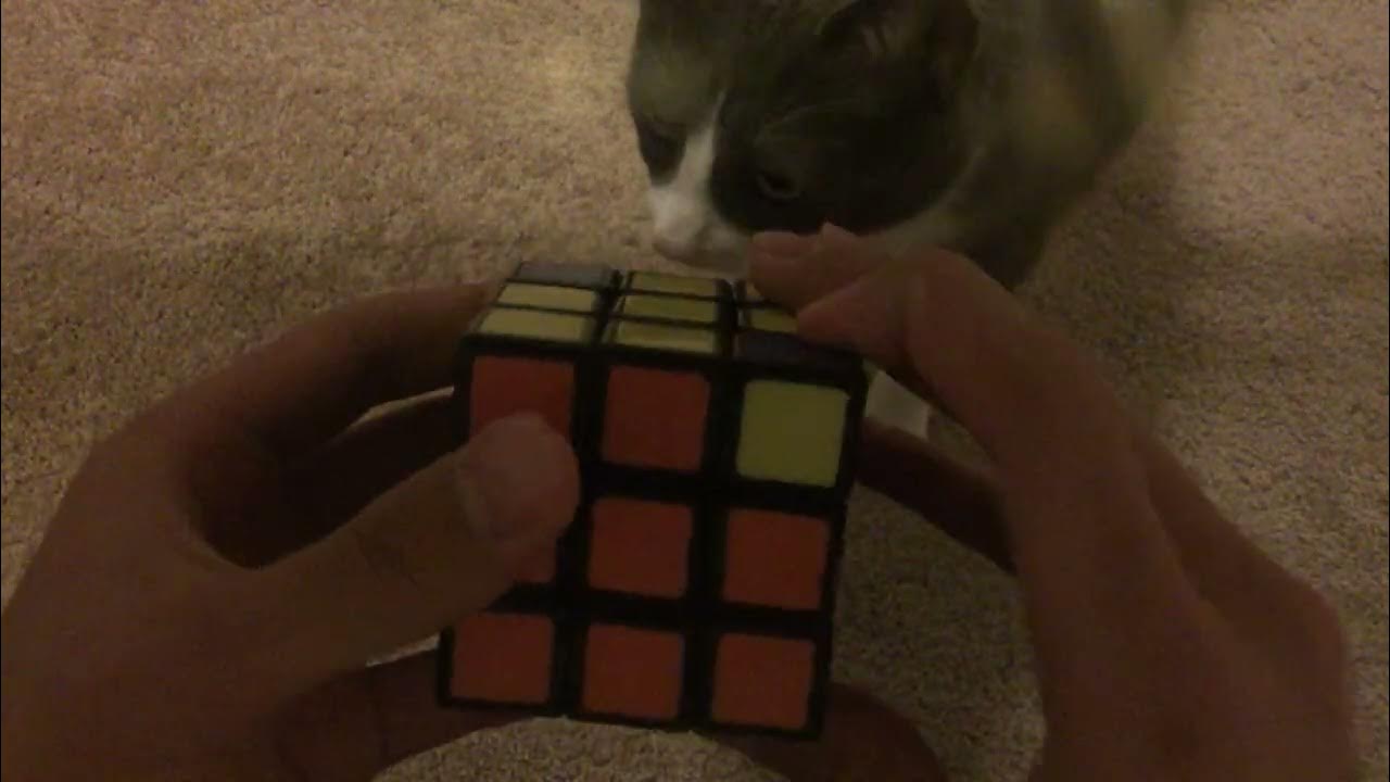 Solving Rubiks Cube (Daisy Method) - YouTube