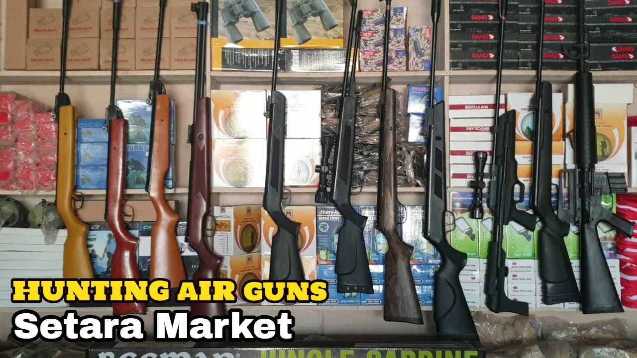 Best 10 Air Guns for Hunting | Setara Market | Airguns Rates in ...