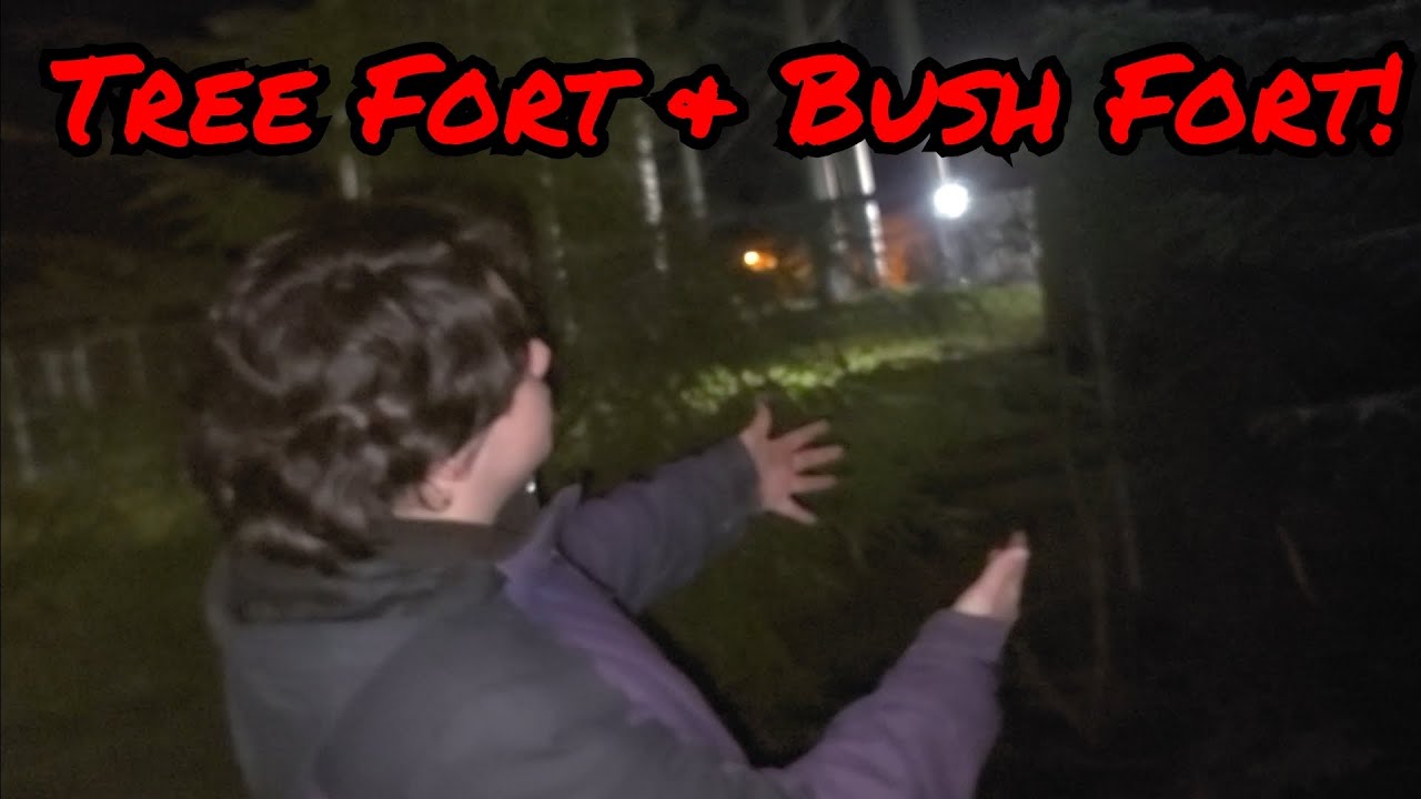 Building A Crazy Tree Fort And Bush Fort! - YouTube