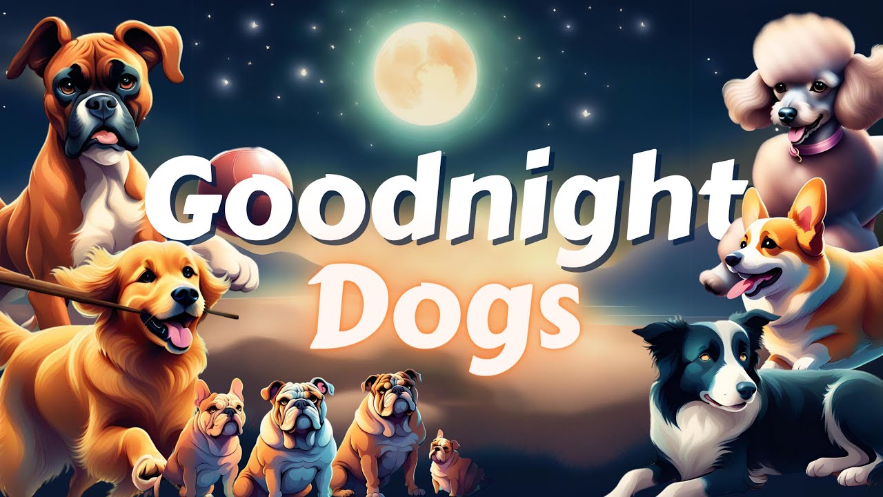 Goodnight Doggy Park 🐶 | RELAXING Bedtime Story for Kids with Dogs ...