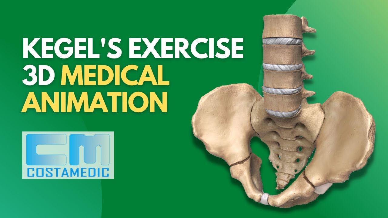 Kegel's Exercise 3D Animation Green Screen - YouTube