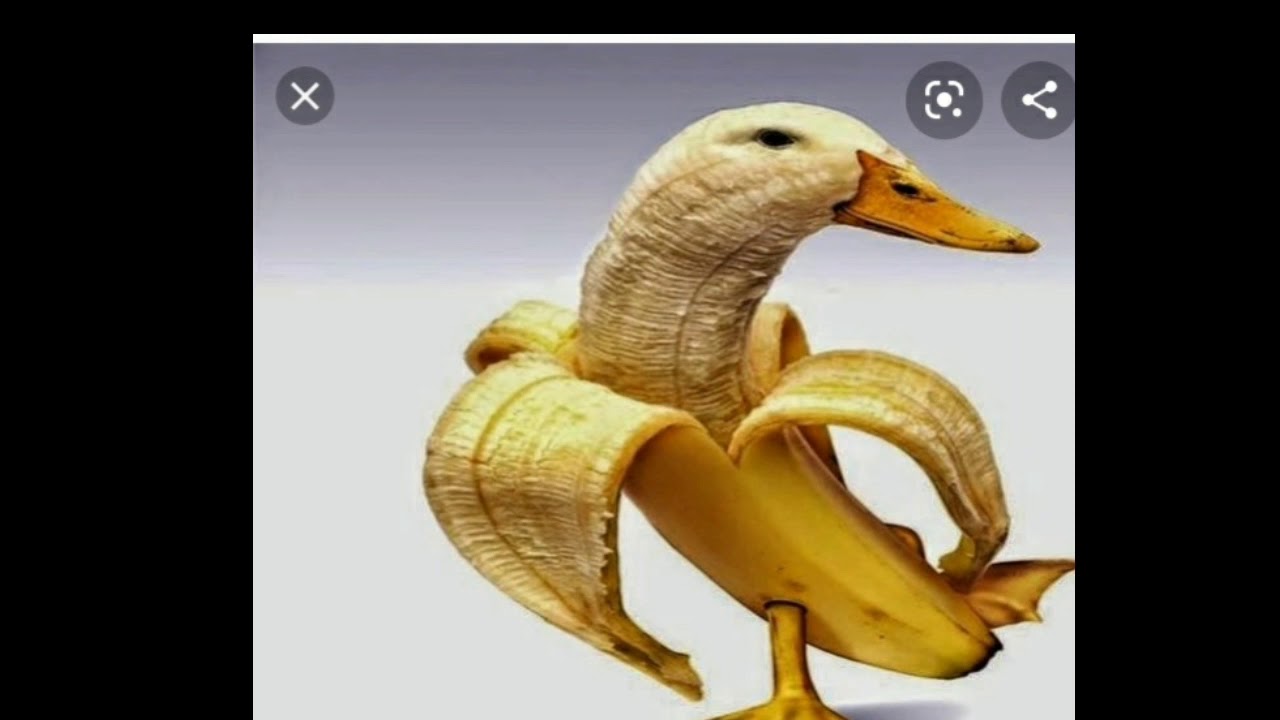 top 5 mejores skin de bananin - YouTube