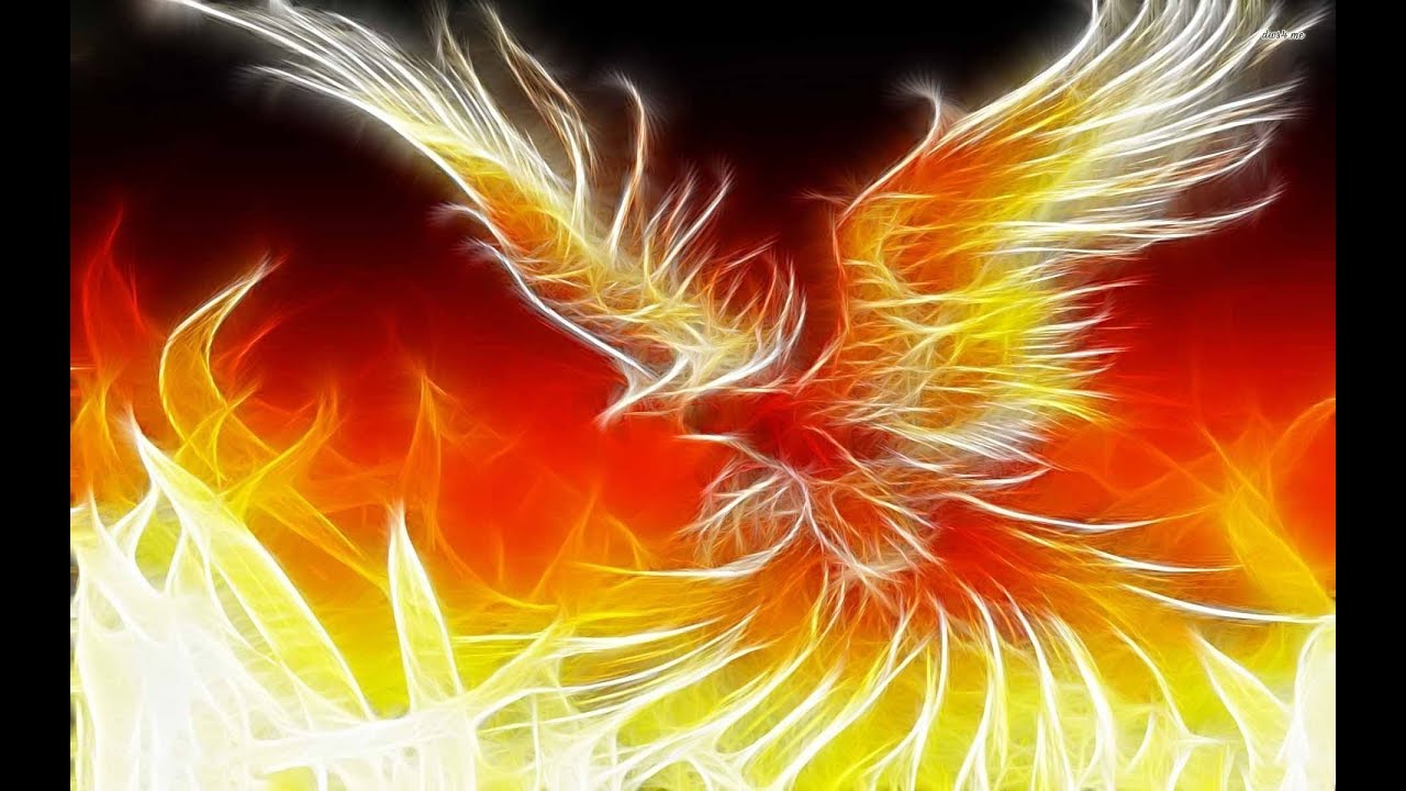 Phoenix Linux - continuação do Cub Linux - YouTube