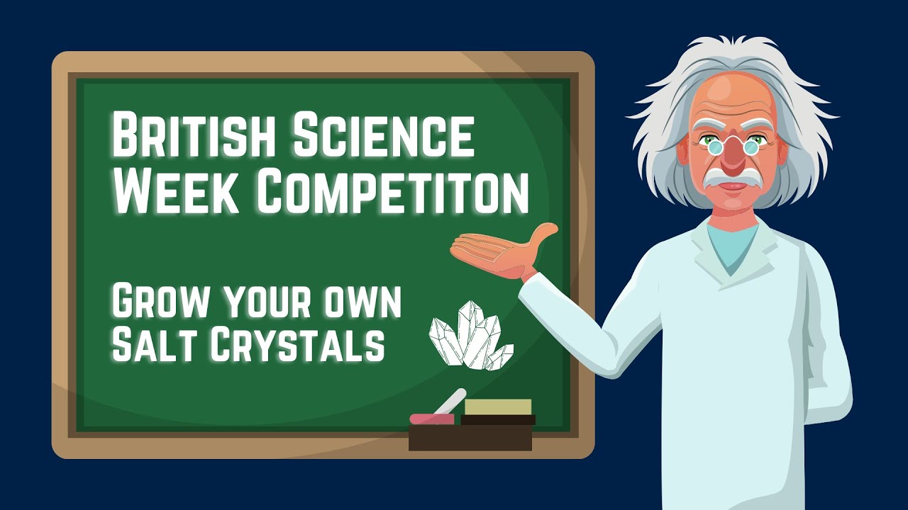 Lincoln's British Science Week Competition - YouTube