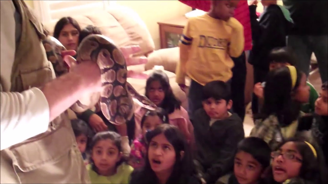 Jungle James - Live Animal Shows - YouTube
