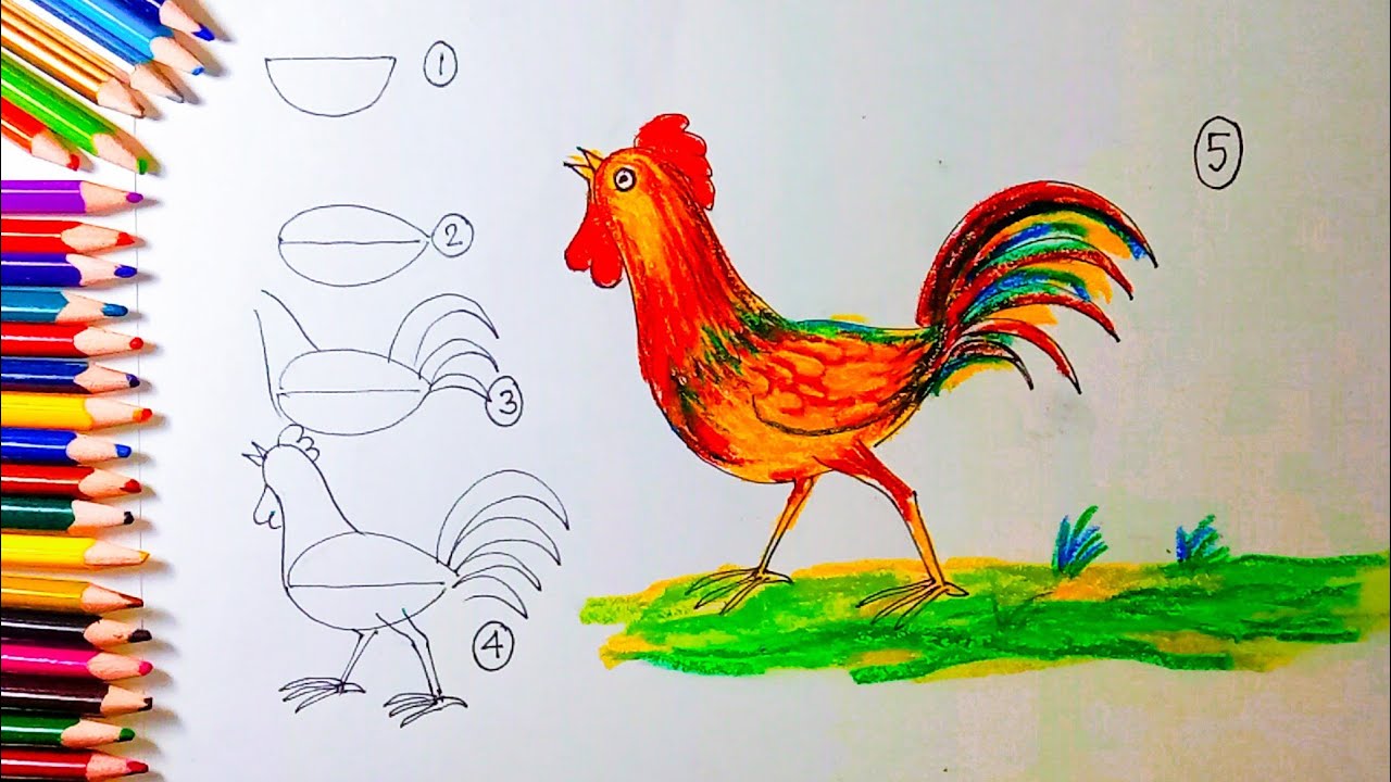 Easy Cock Drawing For Kids - YouTube