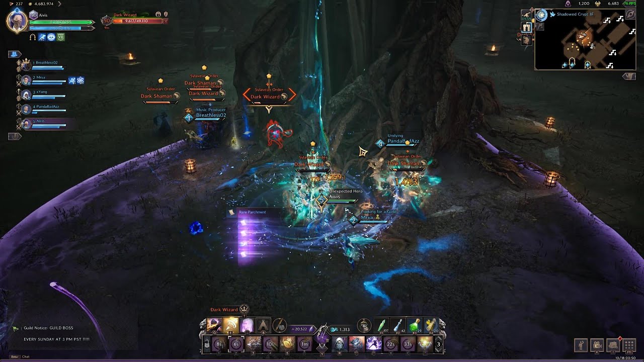 Throne and Liberty Shadowed Crypt grind - YouTube