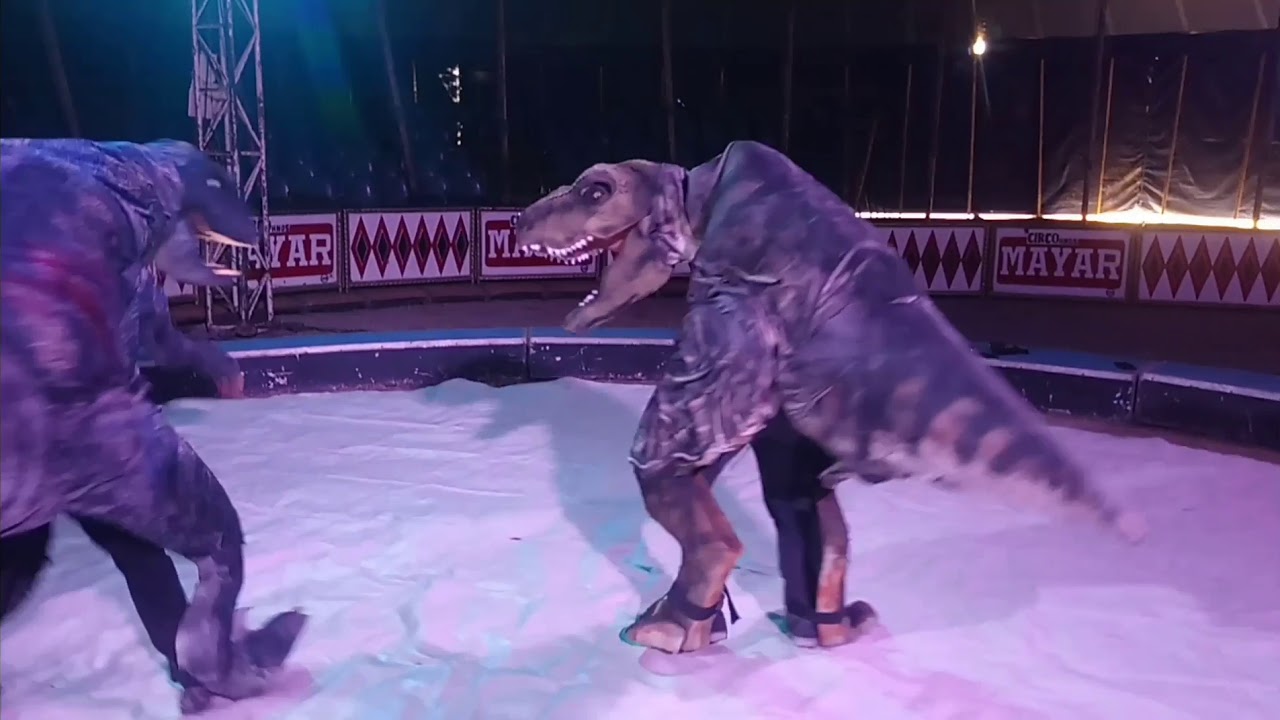 Jurassic Magic Circus - Show Demo Reel 2019 - YouTube