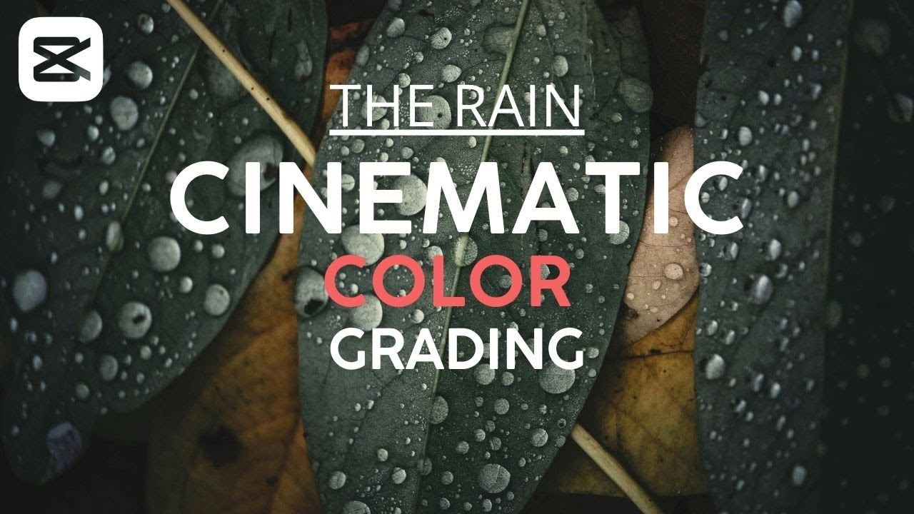 Cinematic COLOR GRADING CapCut | Tutorial - 33 - YouTube