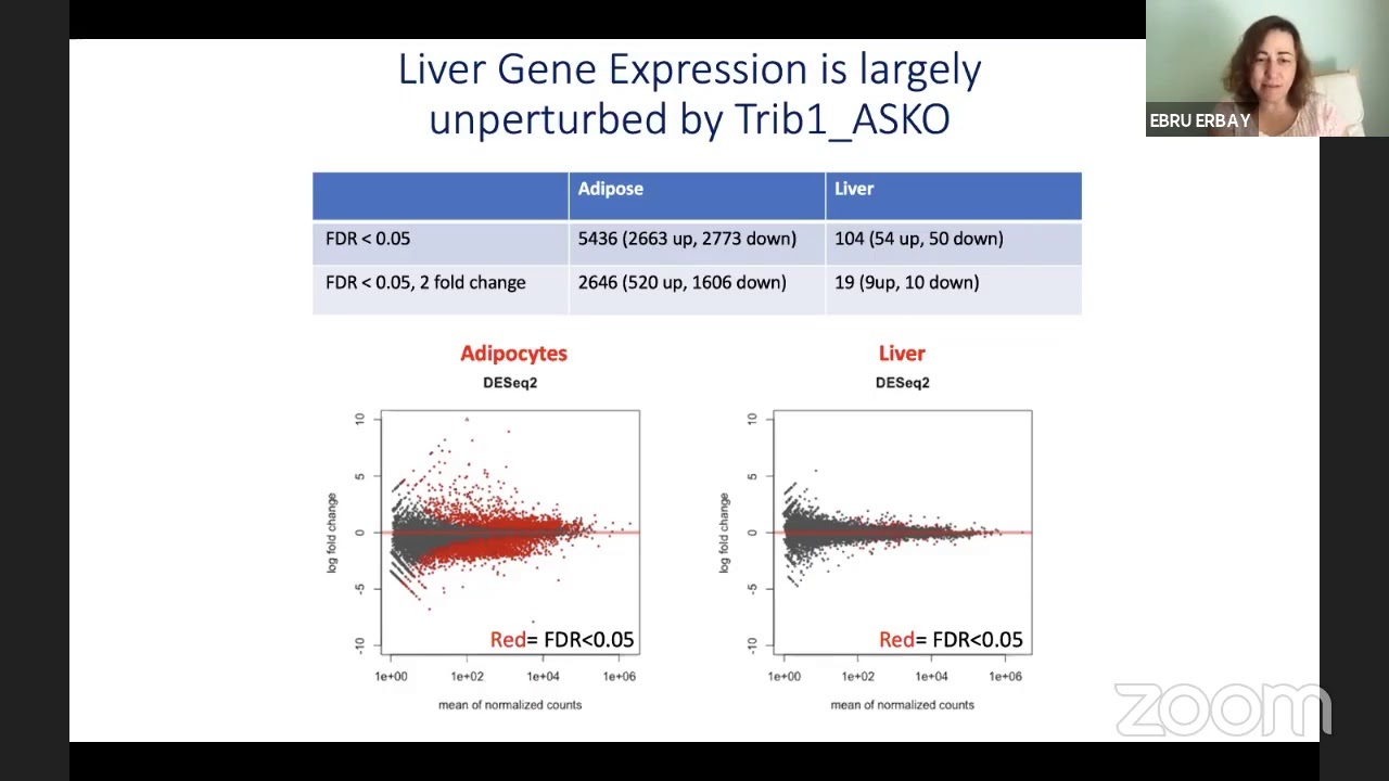 Weekly Cardiometabolism Seminars - YouTube