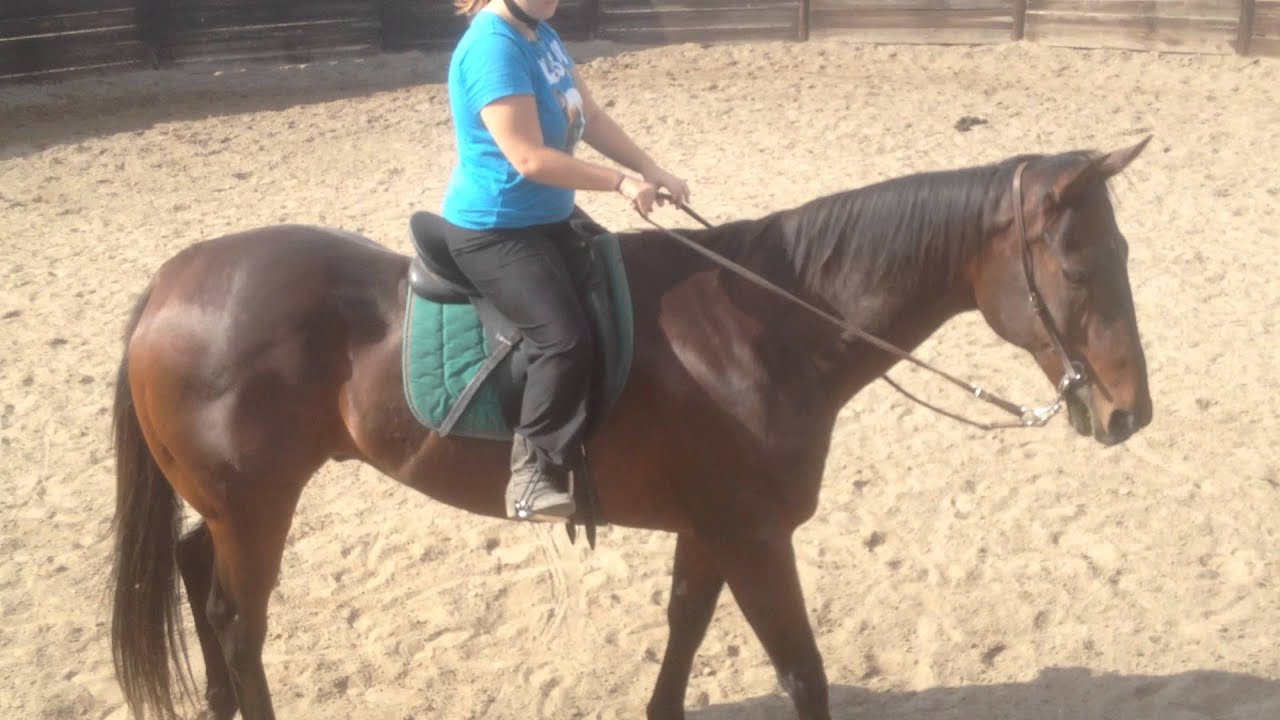 Jessica's Horseback Riding lesson on Justice 9/26/15 - YouTube