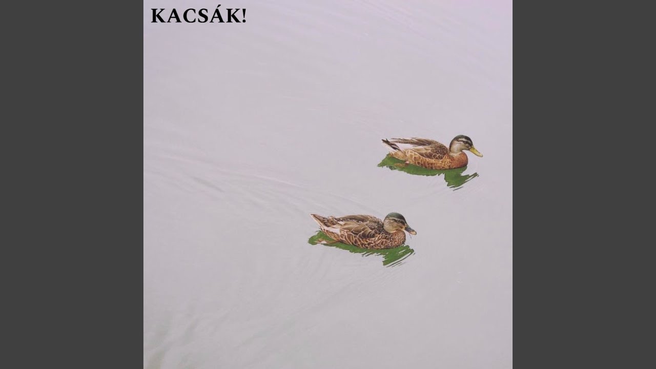 Arti - Kacsák! Chords - Chordify