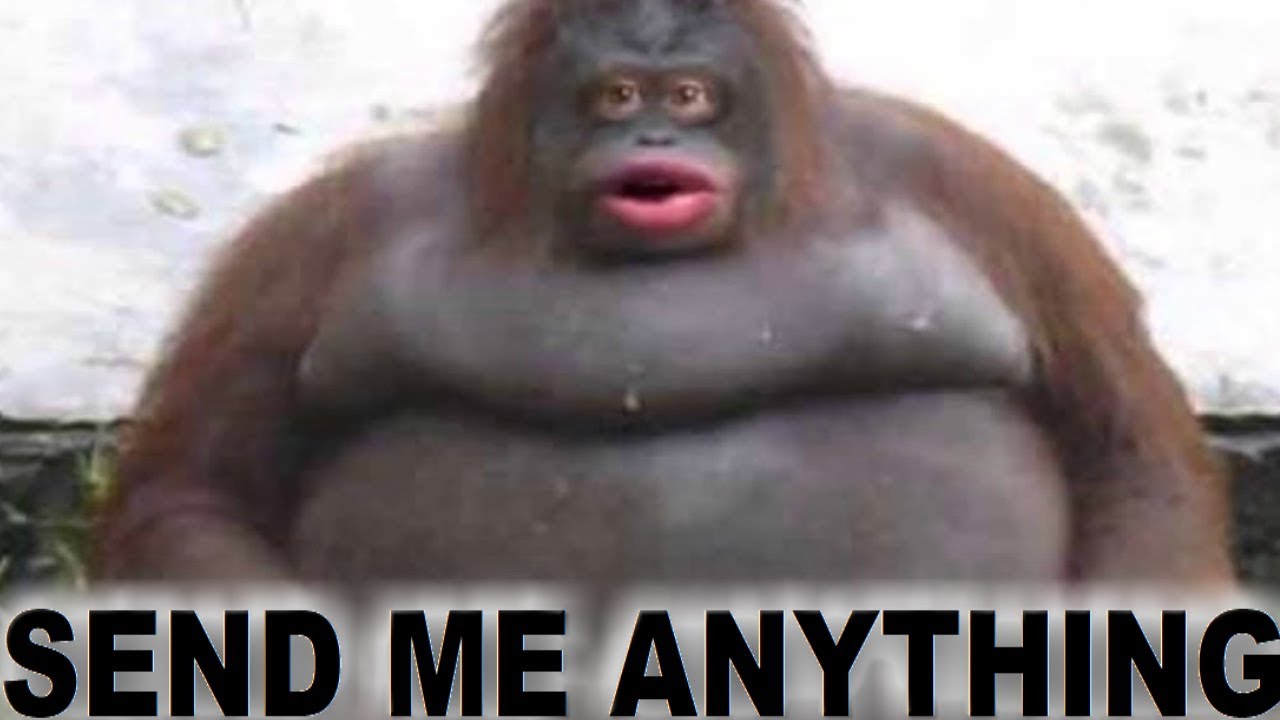 UH OH STINKY SERIES HAHA FUNNY VIDEOS {{Send Me Anything}} - YouTube