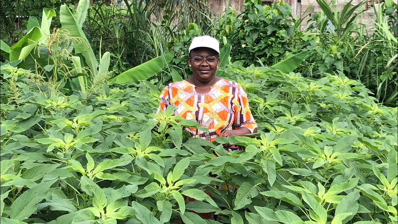 Au Gabon 🇬🇦 elle s’épanouit et gagne l’argent grâce à ce business - YouTube