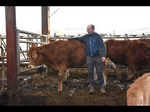 Fermes ouvertes: David et Maxime Goffinet - YouTube