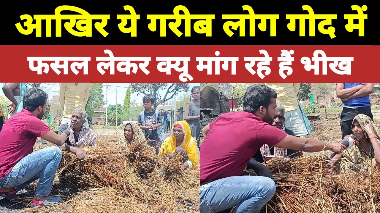 आखिर क्यू ये गरीब लोग गोद में फसल लेकर भीख मांग रहे हैं।garib majdoor ...
