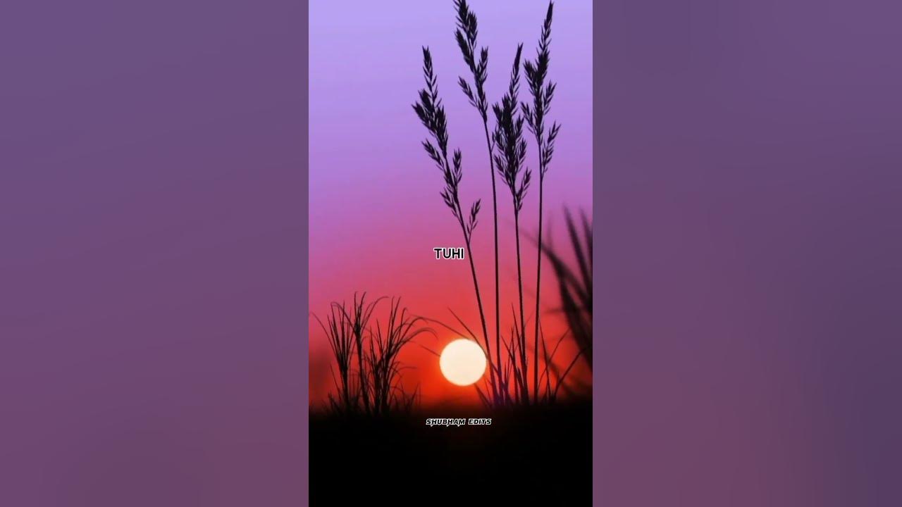 Lyrics Vedio Music Music Shorts Short Youtubeshorts Viral