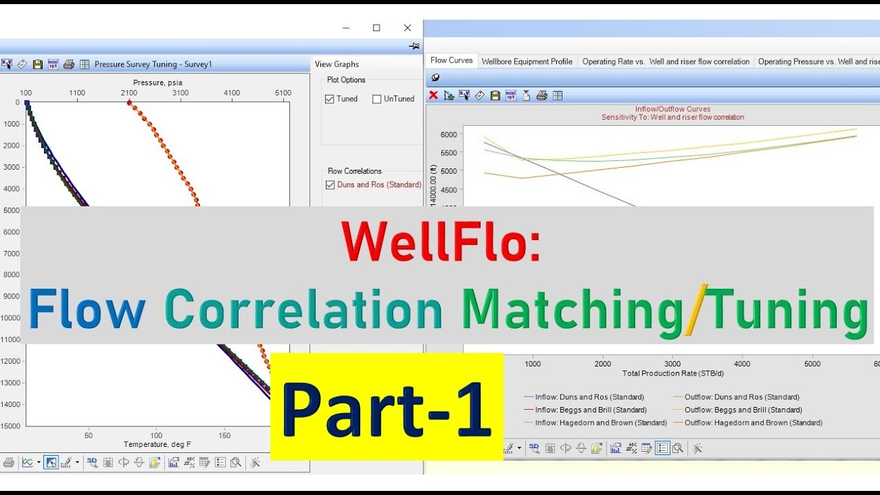 WellFlo 3: Flow Correlation Matching/Tuning - YouTube