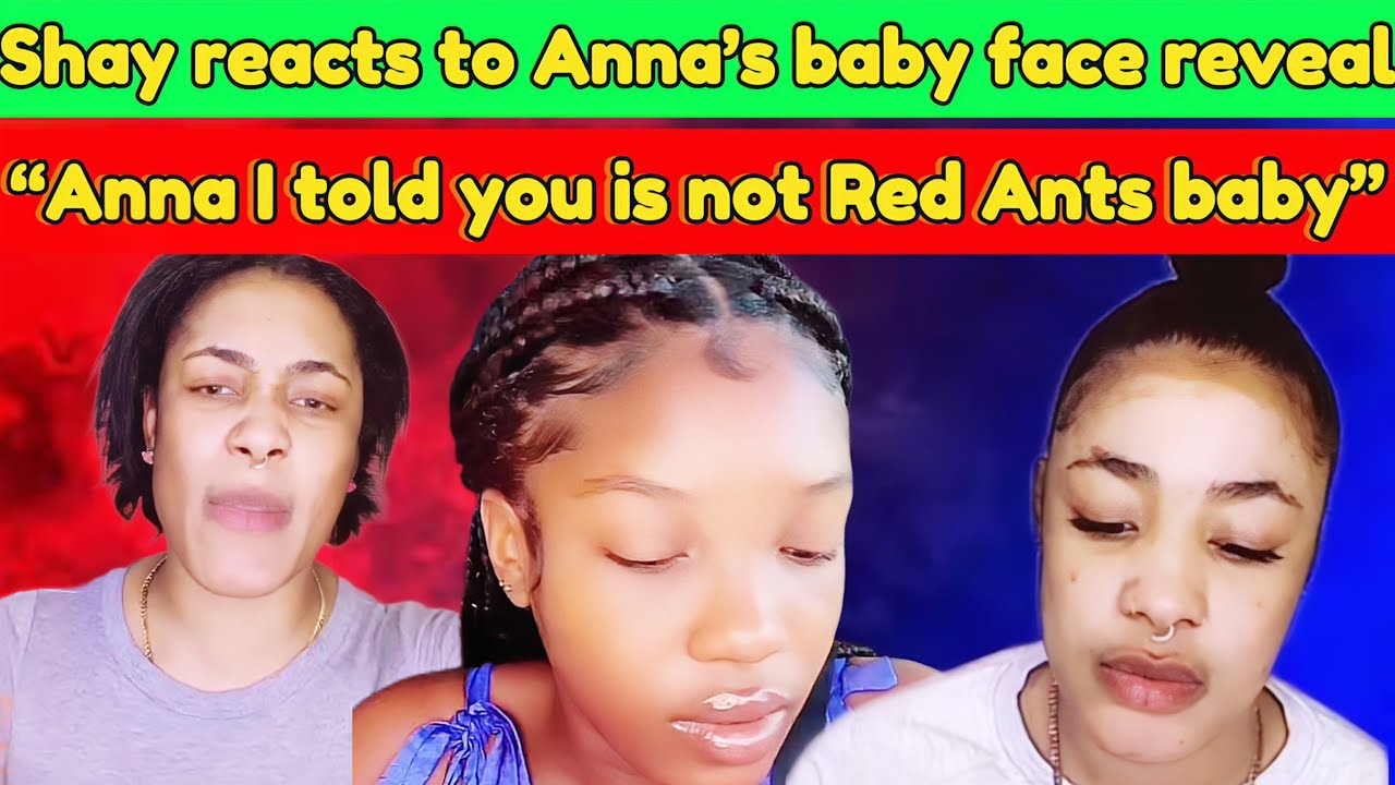 Shay reacts to Anna’s baby face reveal??!! “ Anna I told you is not Red Ants baby” - YouTube