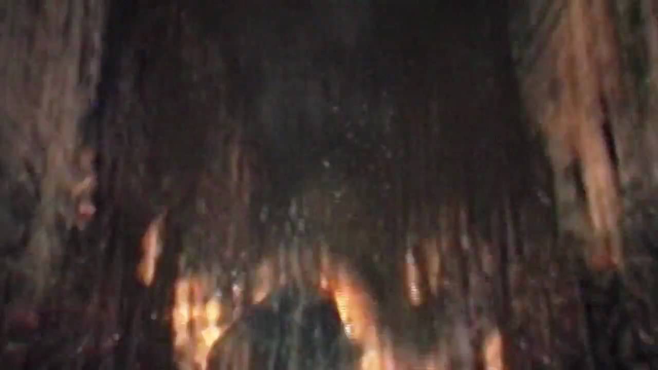 Resident Evil Outbreak "The Hive" final boss video - YouTube