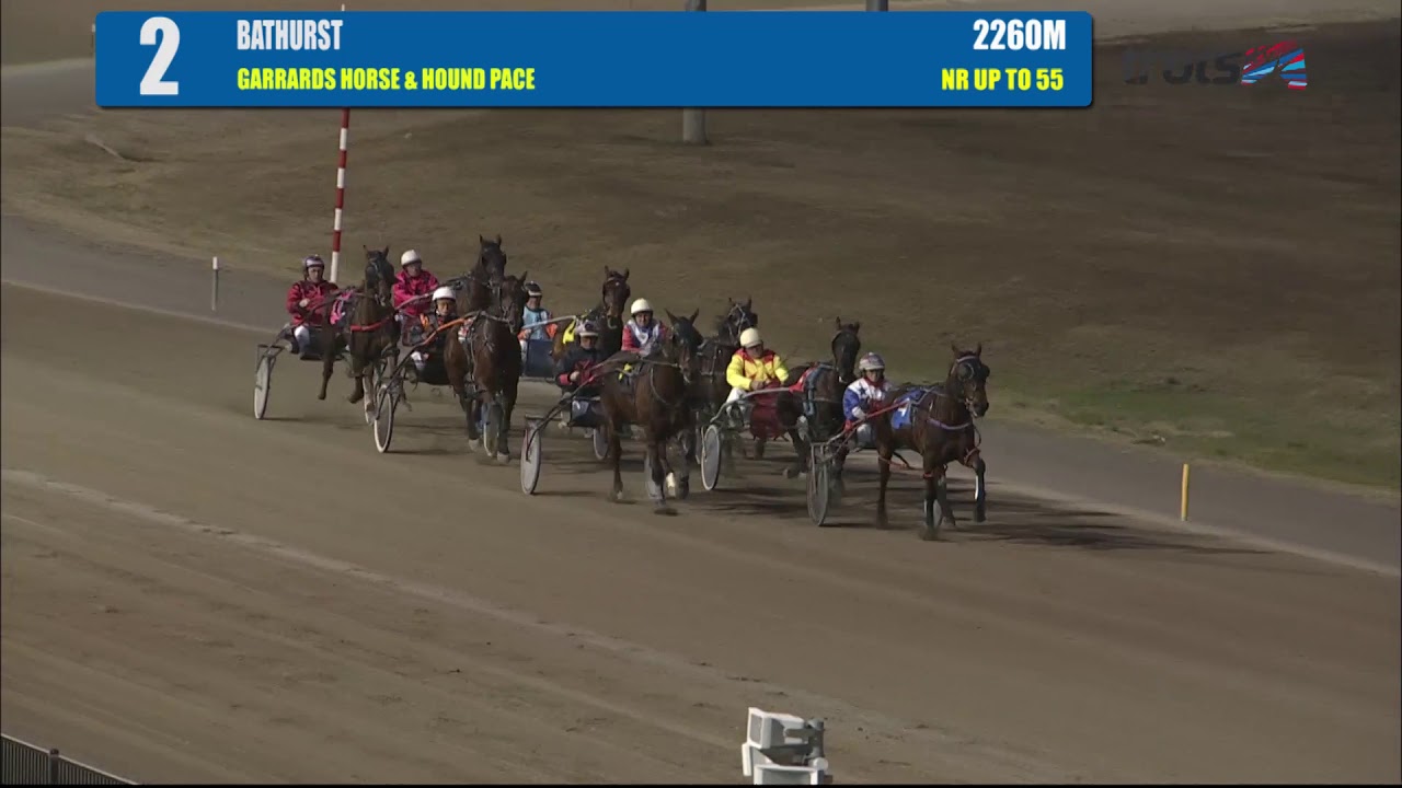 BATHURST - 14/08/2019 - Race 2 - GARRARDS HORSE & HOUND PACE - YouTube