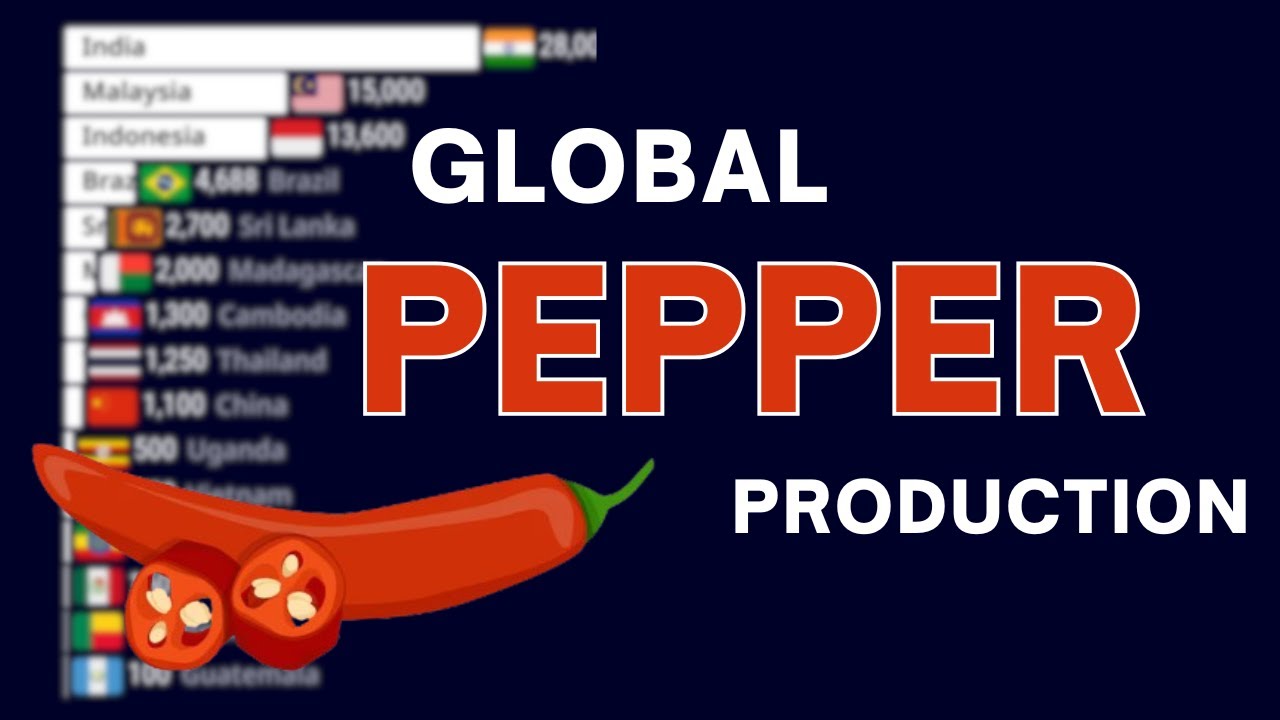 Global Pepper Production Rankings 1961–2024 - YouTube