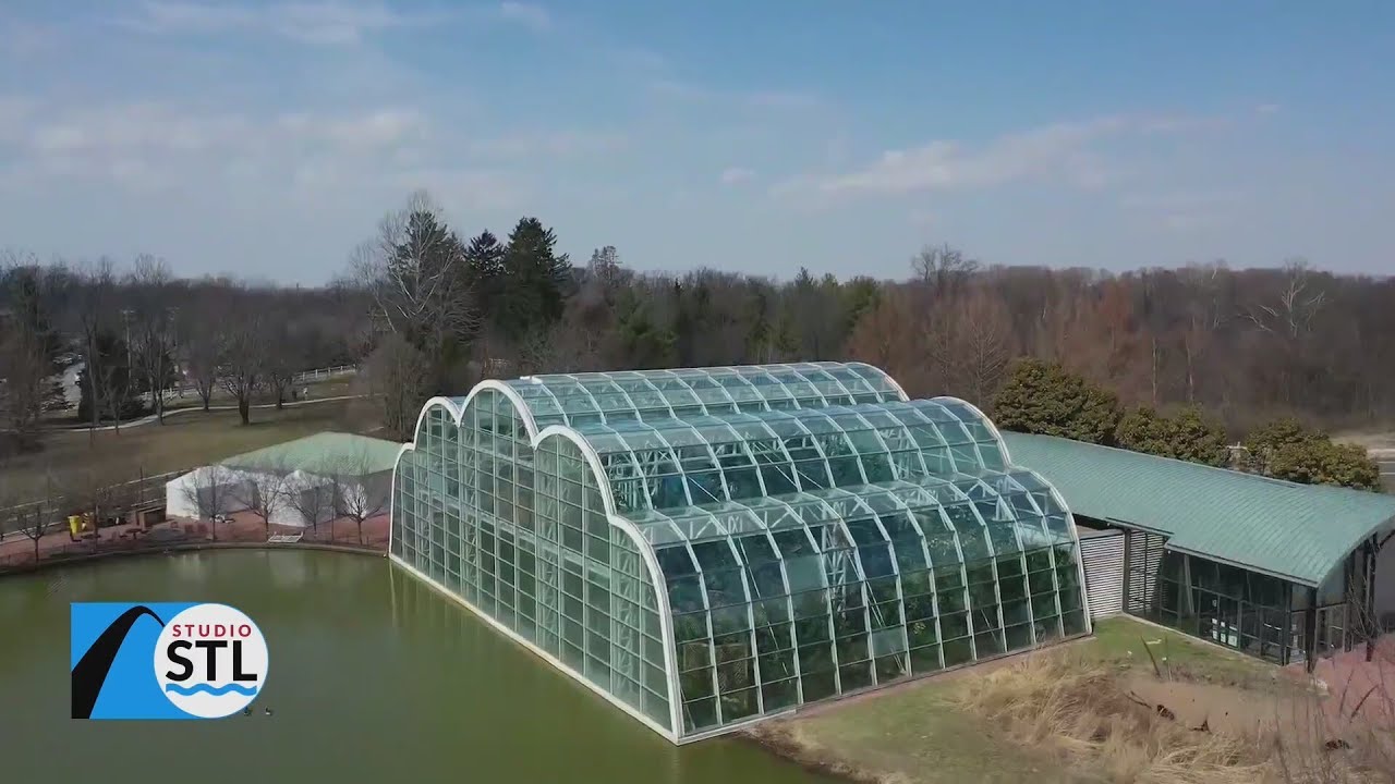 Happy 'Boo'terfly season from the Butterfly House! - YouTube