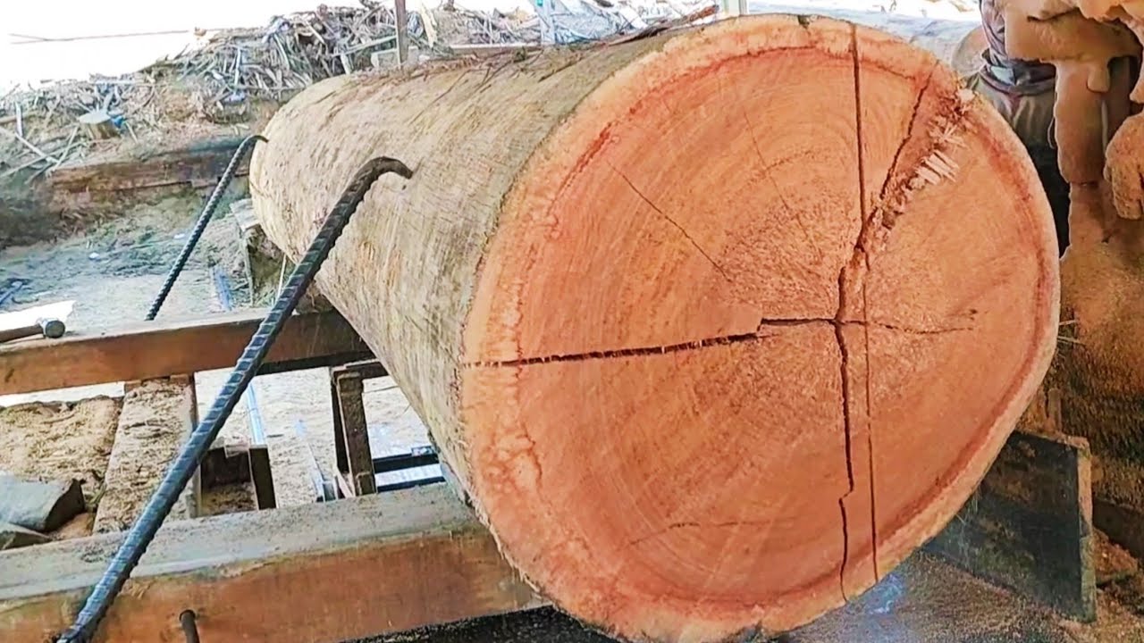 Amazing!! Pernggergajian kayu meranti merah super bikin papan,balokan ...