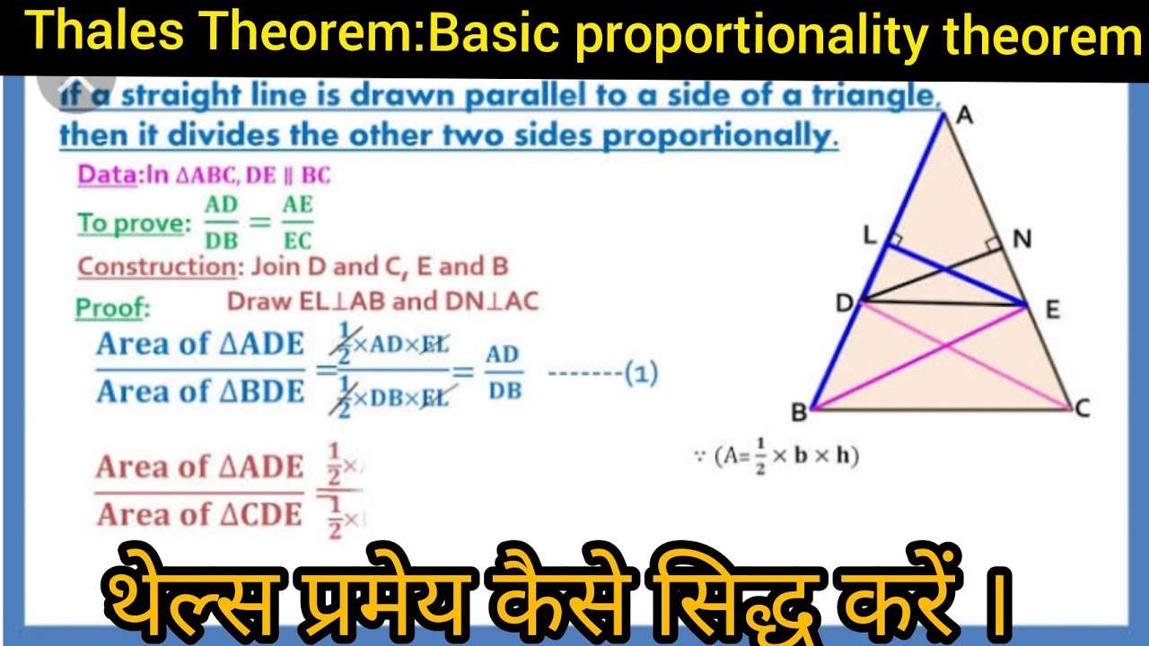 Thales Theorem:Basic proportionality theorem। BPT। थेल्स प्रमेय 6.1 ...