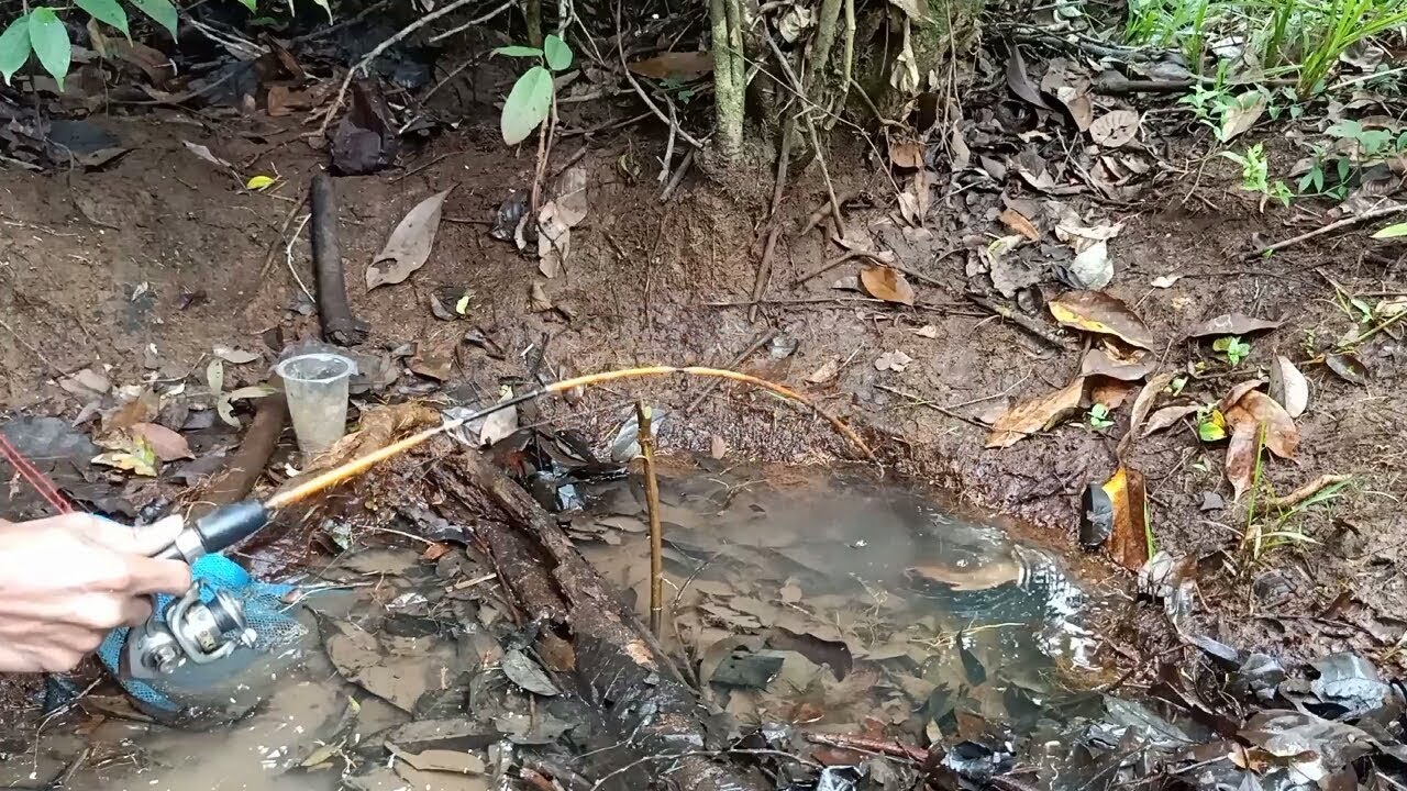 PEMANCING IKAN LEMBAT 2020 - YouTube