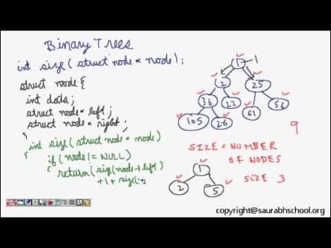 Programming Interview: Data Structures Algorithm: Size of Tree (Count ...