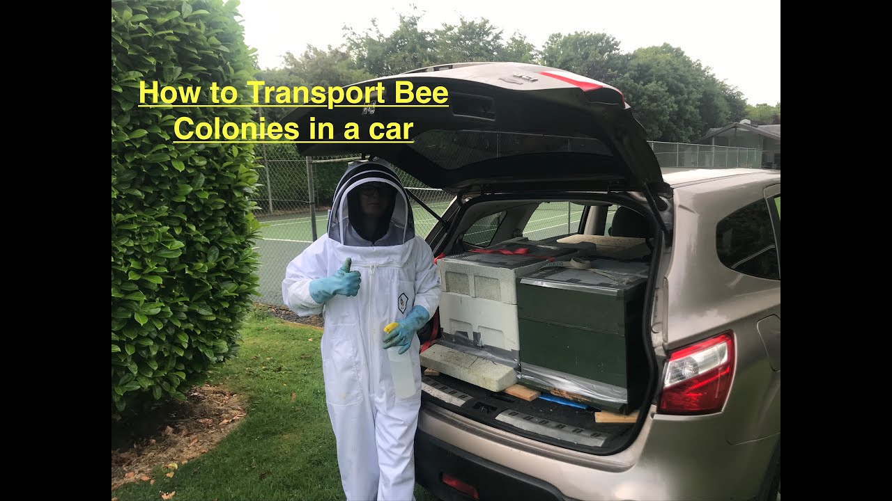 How to Transport Bee Hives in Hot Weather - YouTube