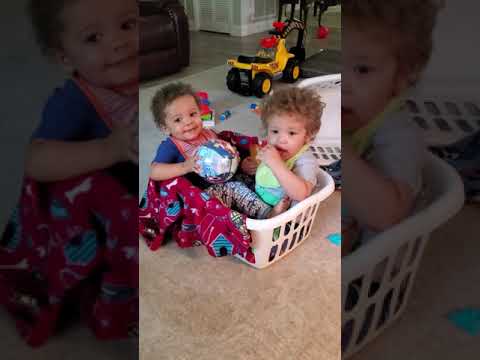 Boys in a basket
