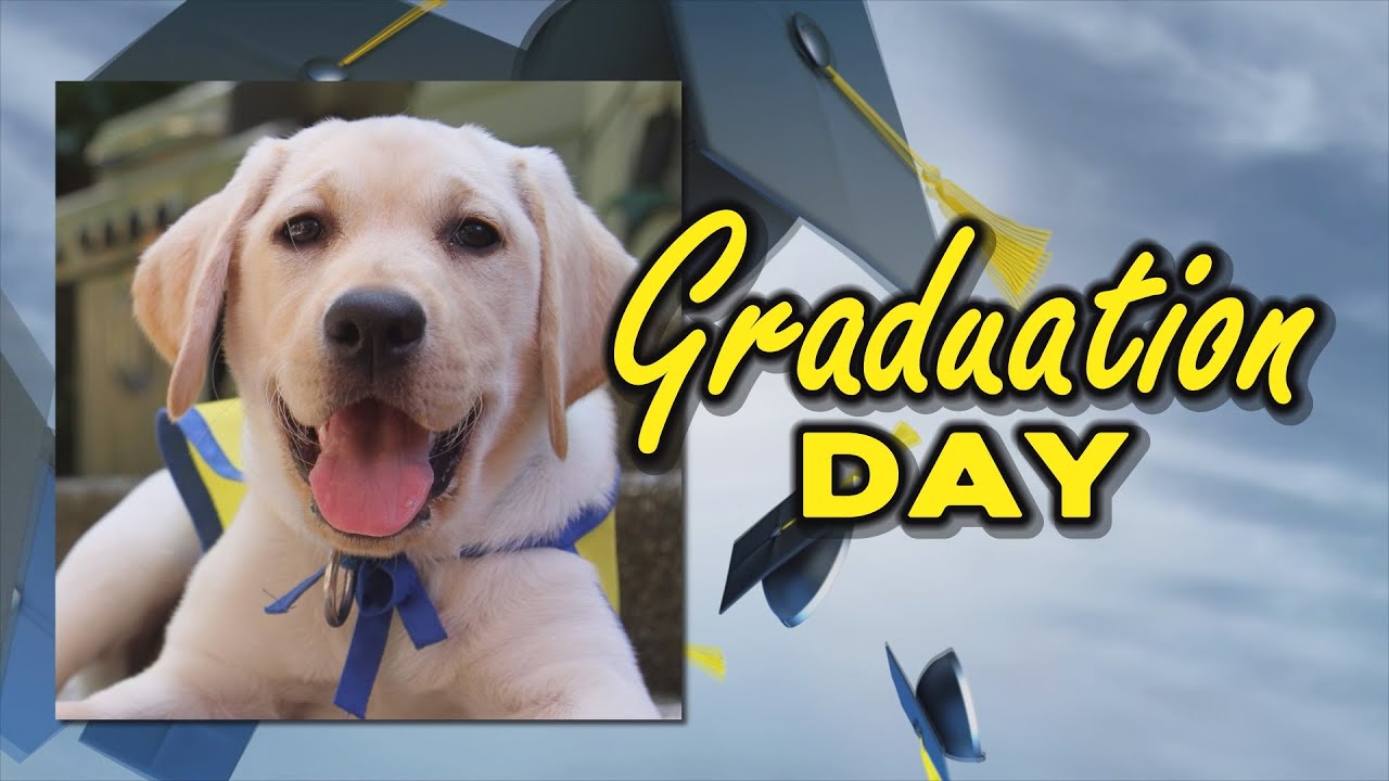 Canine Companions Graduation Day - YouTube