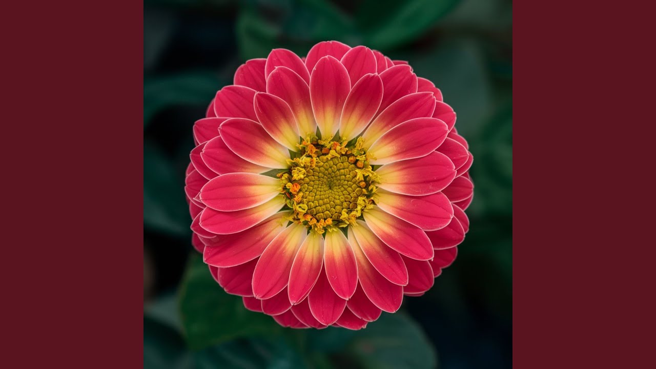 In your emotionless voice - YouTube